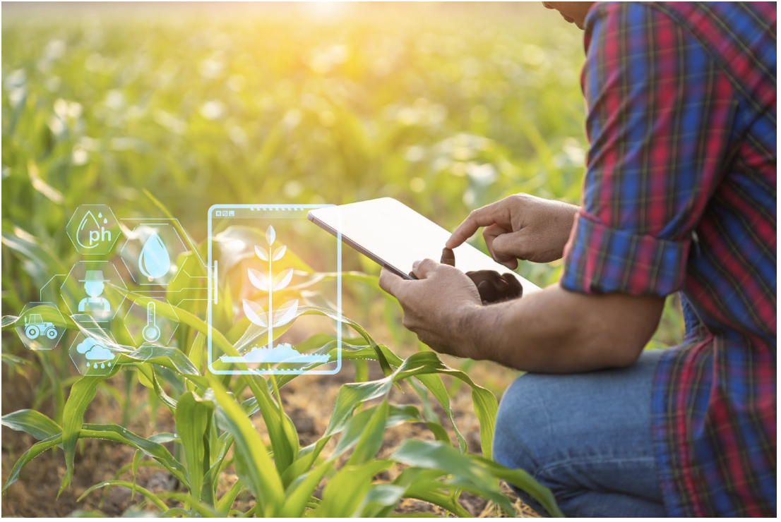 Enhancing Crop Protection with Effective Adjuvants | Agricultural Solutions
